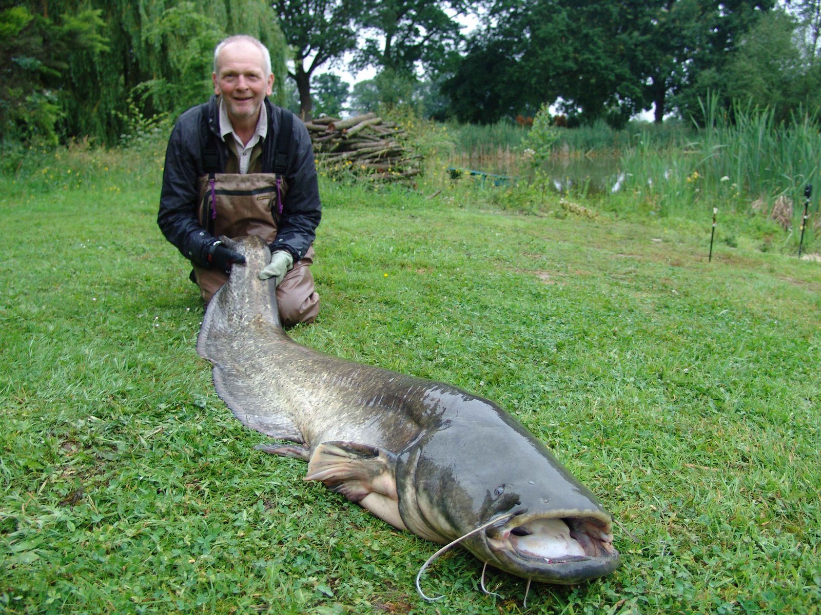 Family carp fishing holiday France • First big catfish of the year ...