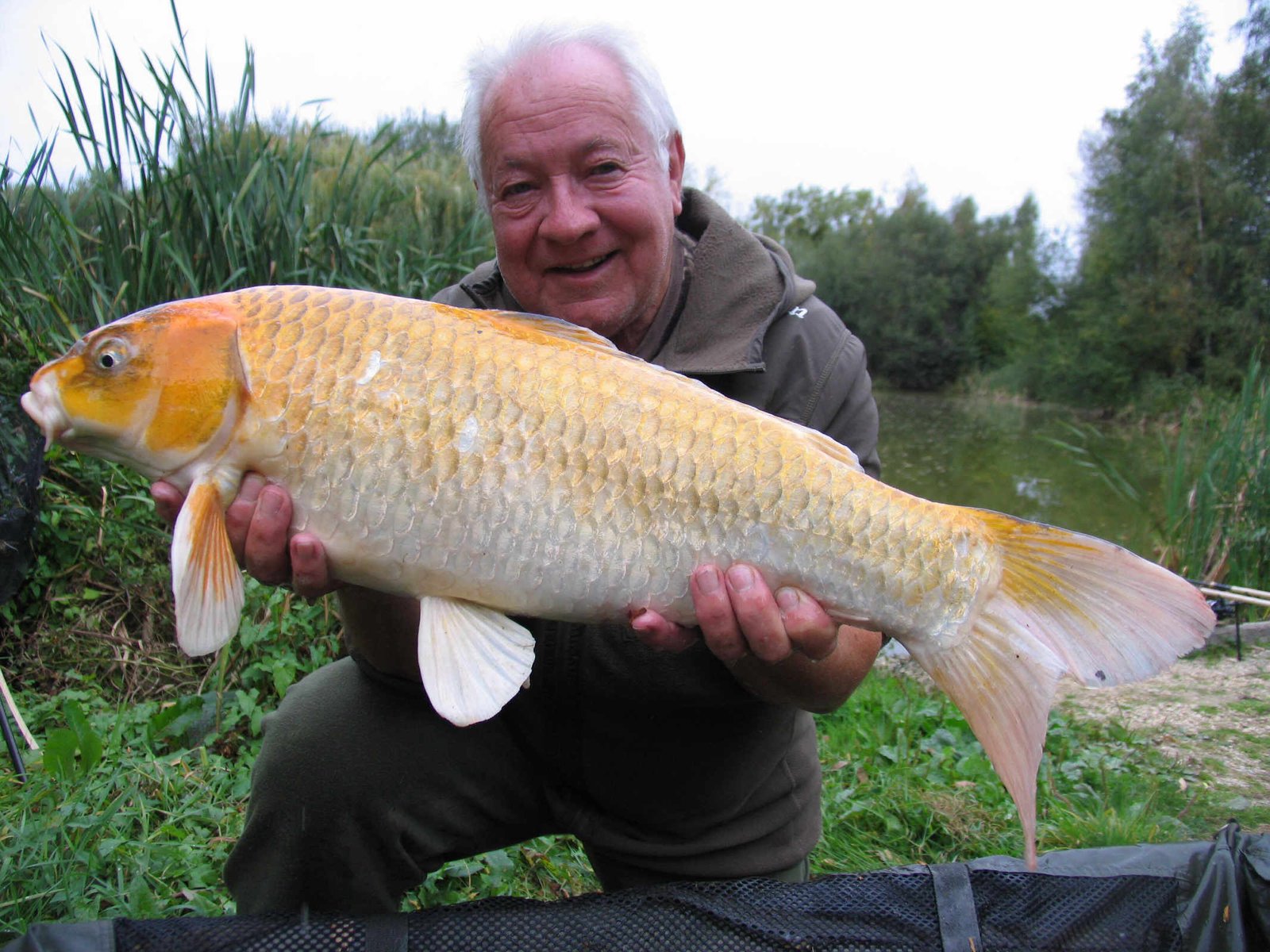 Exclusive Family Carp Fishing Holiday• Millers French Carp And Cats